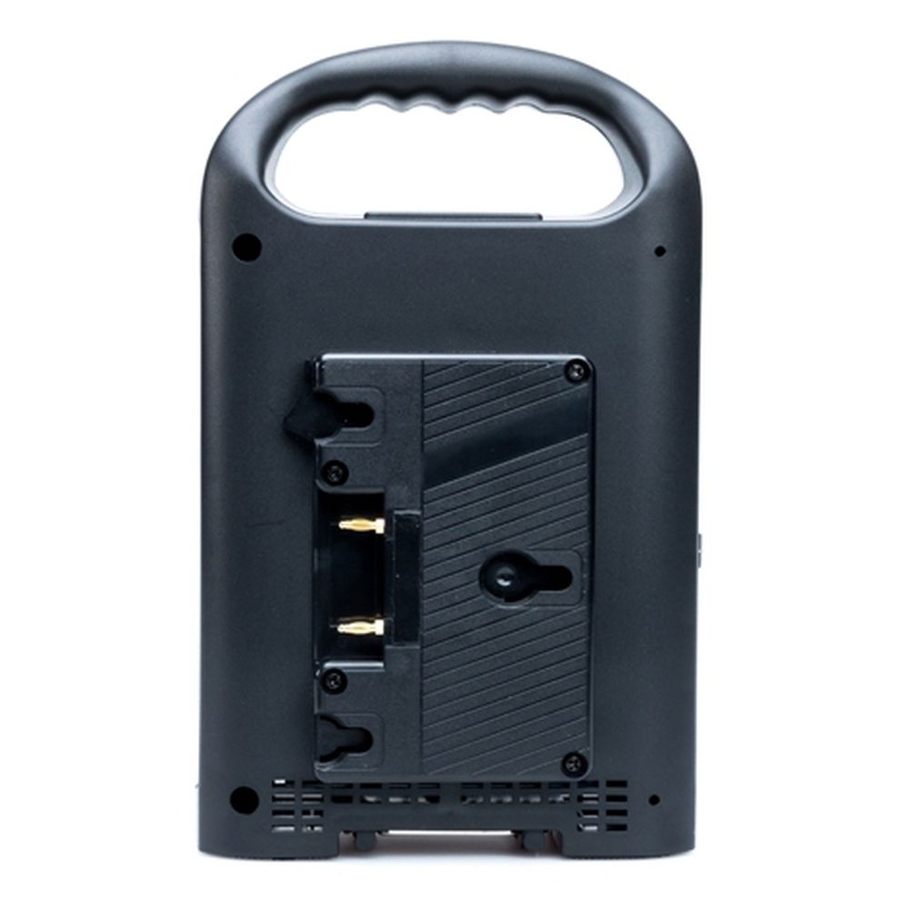 Fxlion Gold Mount double fast charger