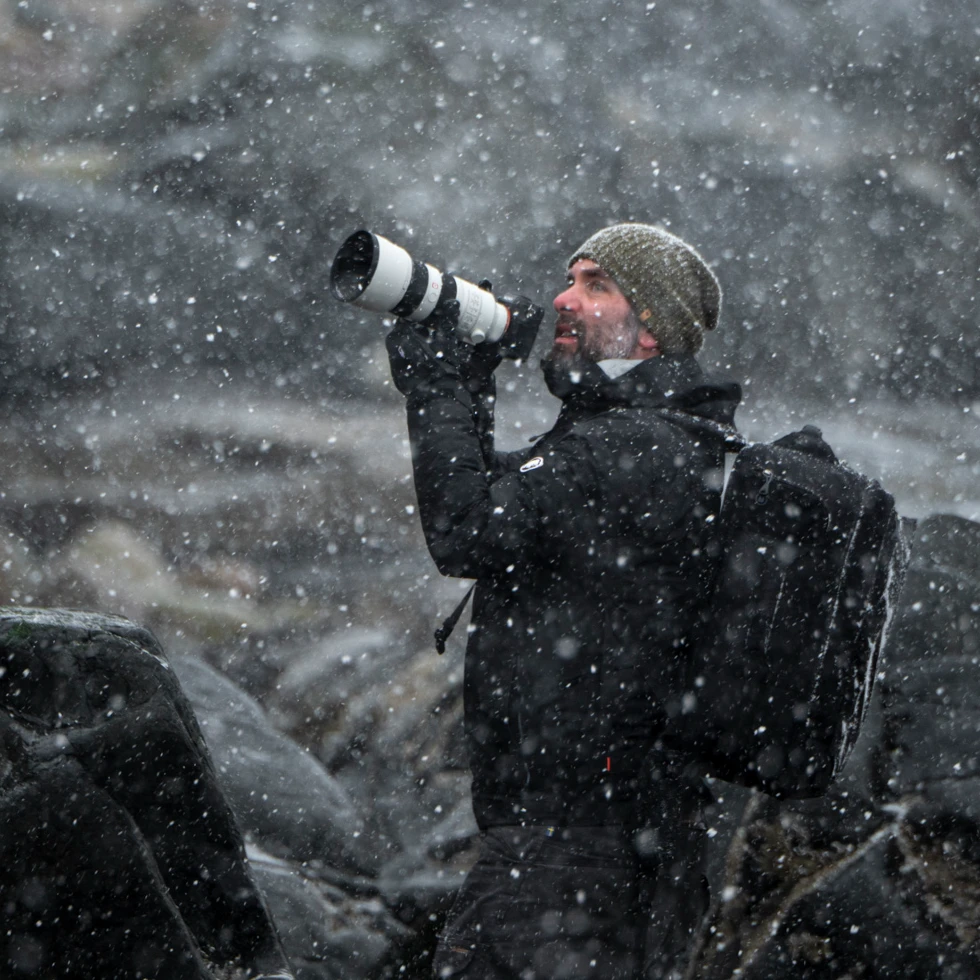 Interview met wildlife fotograaf Alex Pansier